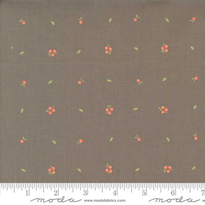 Abloom - Little Sprout Slate — Fabric Shack