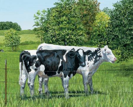 Moo Times Two Panel - Cows Mutli — Fabric Shack